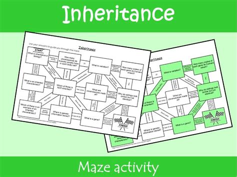 Inheritance Maze Worksheet Ks2 Ks3 Science Revision Activity Teaching Resources
