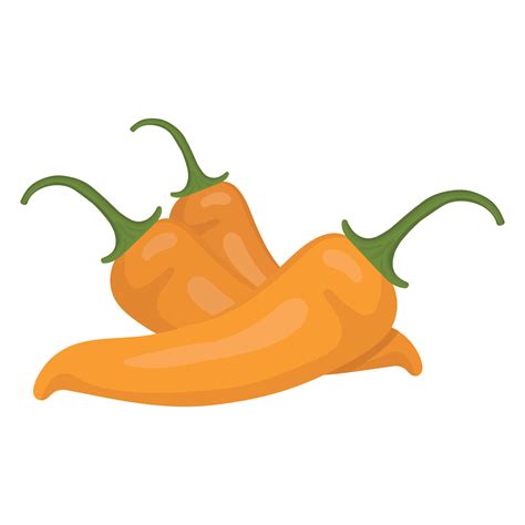 Yellow Hot Chili Pepper Vector Illustration Of Red Chili Pepper