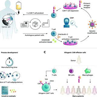 Manufacturing Of Car T Cells And Biological Approaches To Increase