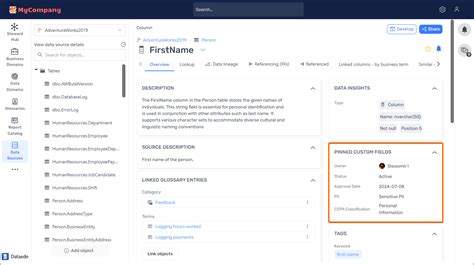 Customizations Dataedo Documentation
