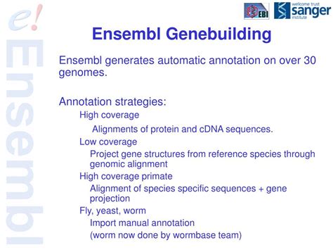 Ppt Ensembl Genome Annotation Overview Powerpoint Presentation Free Download Id3402816