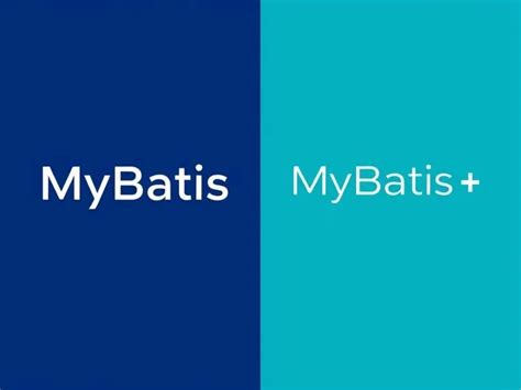 Mybatis和mybatisplus的区别是什么？它们可以共存吗？ 站长工具网