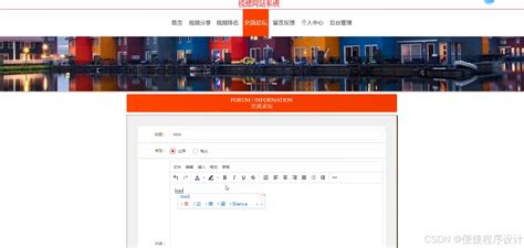 Java计算机毕业设计视频网站系统（开题程序论文）毕设做网站系统 Csdn博客
