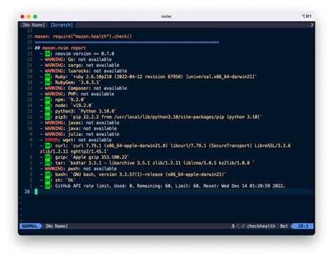 neovim missing masson command for mason and lsp config r neovim