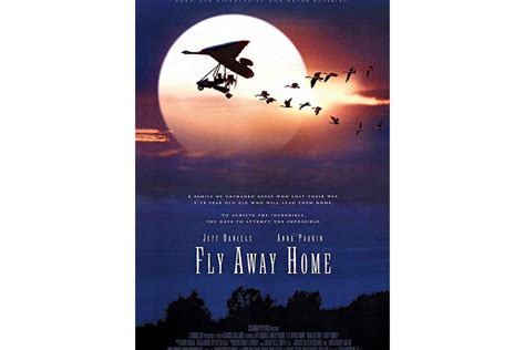 Fly Away Home Robinage