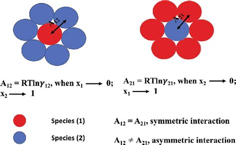 A Cartoon Representation Of Asymmetric Interaction In A Binary Mixture Download Scientific