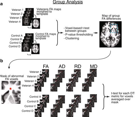 Schematic For Voxel Wise Group Comparison Of Diffusion Measures A