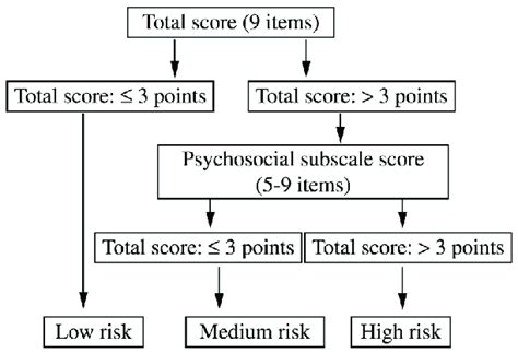 Sbst Scoring System 121418 Download Scientific Diagram