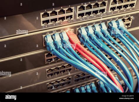 Network Cables Connected To A Switch Stock Photo Alamy