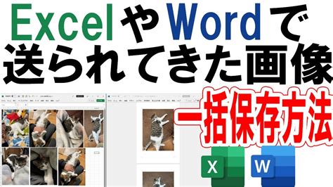 Excelやwordに貼り付けられた画像を一括保存する方法 Youtube