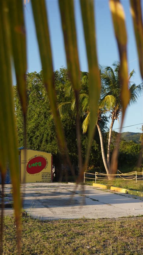 Loops Beach St Croix — Chris Loops Seikaly Foundation