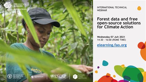 Fao Forest Data And Free Open Source Solutions For Climate Action Ifsa