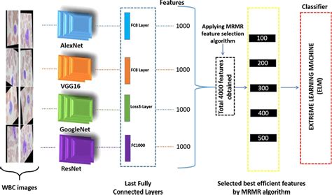 the proposed cnn mrmr elm method download scientific diagram