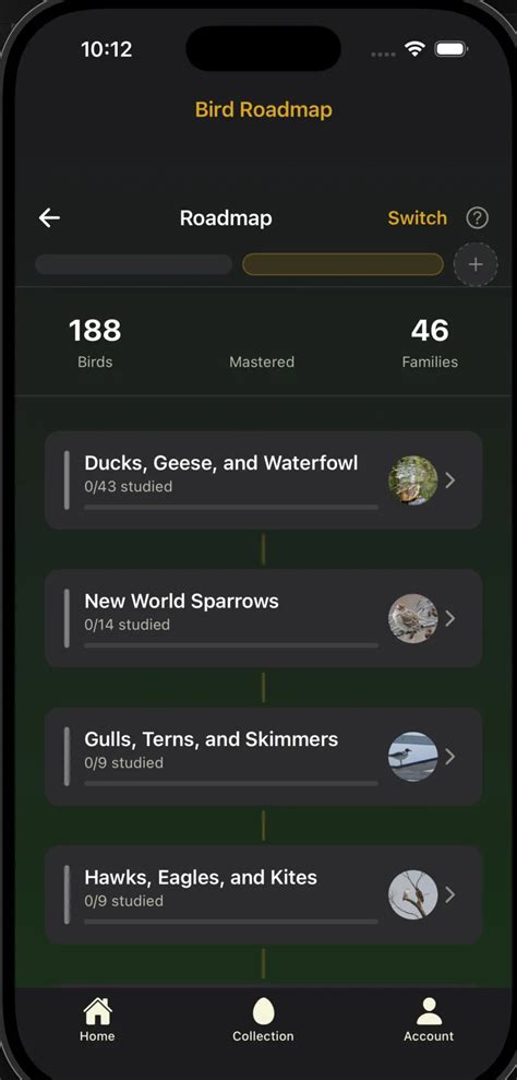 Birdbrain — Learn Your Birds