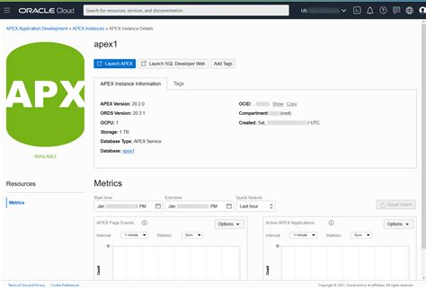 Oracle Cloud 系列文章04：在 Oracle Cloud Oci 中快速构建apex应用程序 钢钢更新