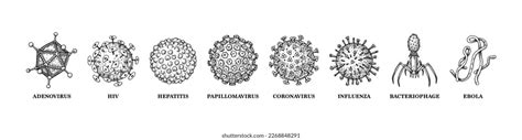 Hepatitis Virus Types Photos And Images Shutterstock