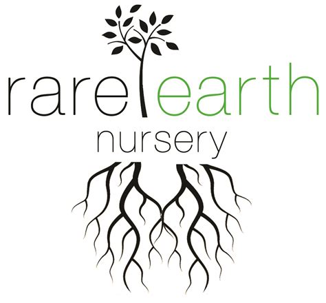 Tree Root Font ClipArt Best