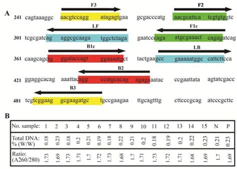 Loop Mediated Isothermal Amplification Lamp For Embryo Sex Determination In Pregnant Women At