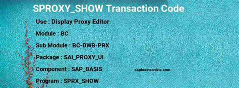 Sproxy Show Sap Tcode For Display Proxy Editor