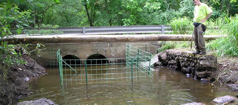 Beaver Solutions Llc Beaver Flow Management Devices Beaver