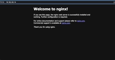 菜鳥工程師 肉豬 Aws Ec2 Amazon Linux 2023 安裝nginx