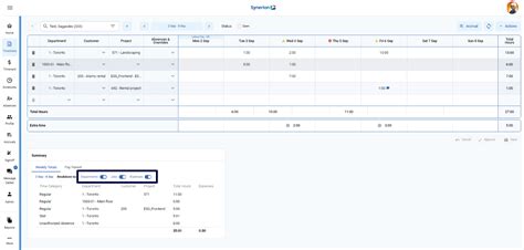 mss timesheet summary synerion agile help