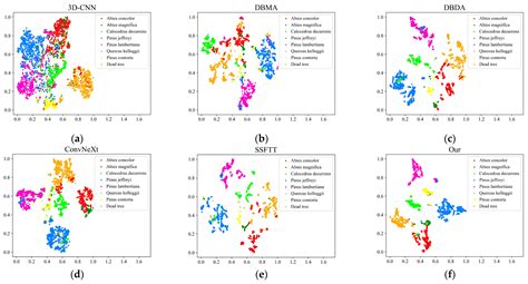 Tree Species Classification From Airborne Hyperspectral Images Using SpatialSpectral Network