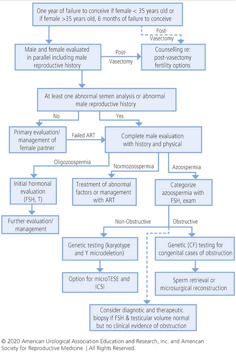 Diagnosis And Treatment Of Infertility In Men Aua Asrm Guideline Part I 2020 American