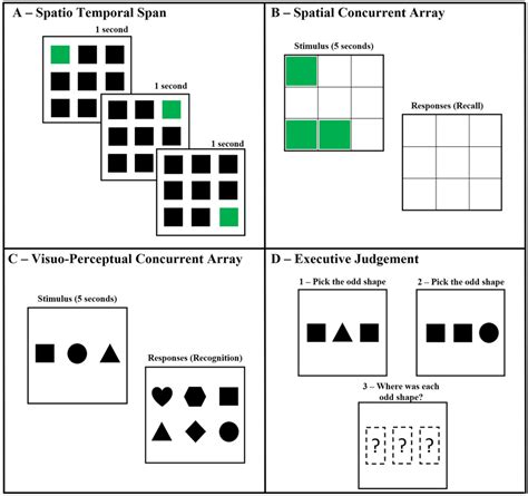 Example Of Each Subtype Of Visual Memory Task Note Panel A Example