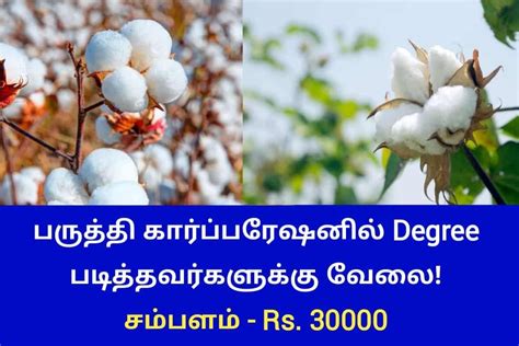 பருத்தி கார்ப்பரேஷனில் Degree படித்தவர்களுக்கு வேலை Tn Trending Job