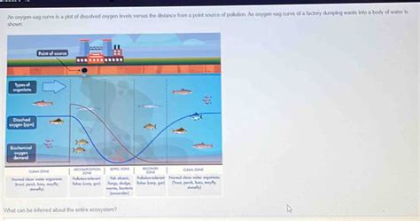 An Oxygen Sag Curve Is A Plot Of Dissolved Oxygen Levels Versus The