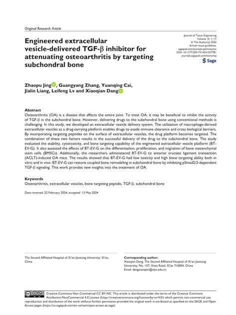 Pdf Engineered Extracellular Vesicle Delivered Tgf β Inhibitor For