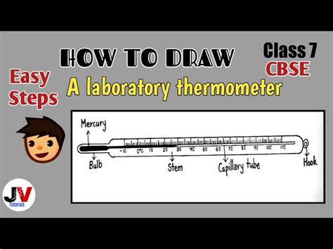 Labelled Mercury Laboratory Thermometer