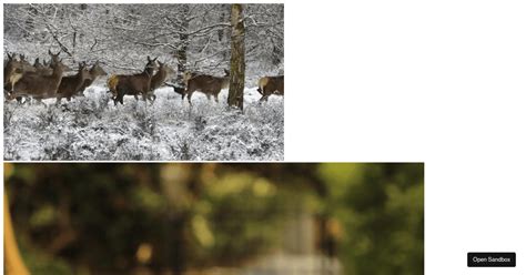 React Example Codesandbox