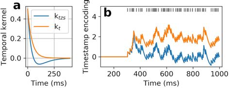 A Zero Sum Temporal Kernel Ktzs With τ1 40 Ms And τ2 80 Ms