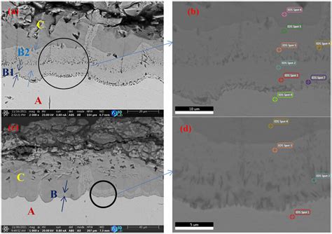 pfib sem images showing the structure that developed at the interface