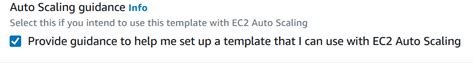 Load Balancing Ec2 Instances In An Autoscaling Group