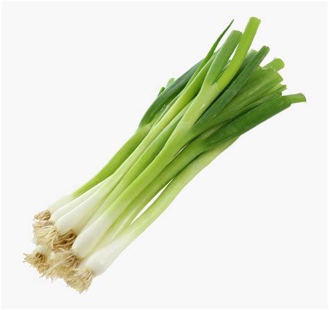 Leek Png Koleksi Gambar