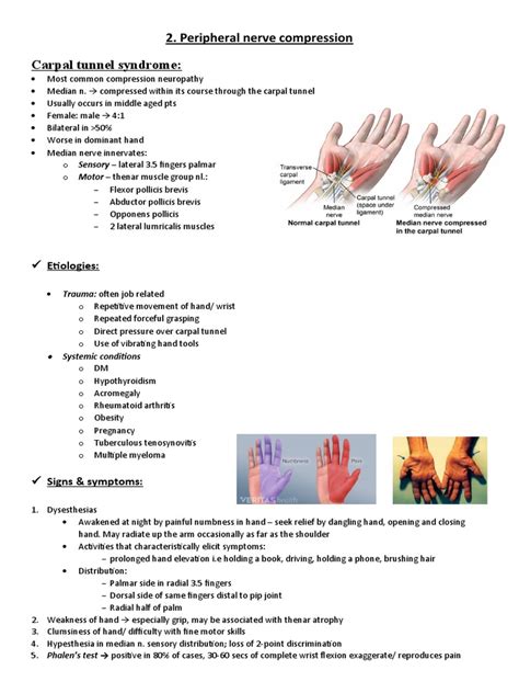 Lec 2 Peripheral Nerve Compression Pdf Hand Carpal Tunnel Syndrome Lec 2 Peripheral Nerve Compression Pdf Hand Carpal Tunnel Syndrome