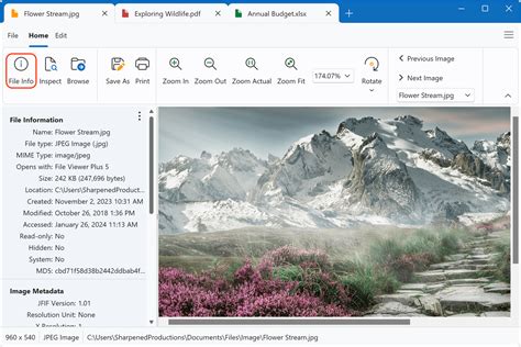 Фотографии Windows File Viewer