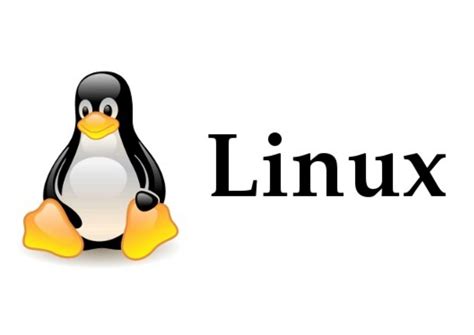 Linux Operating System In Hindi Linux In Hindi Linux Kya Hai