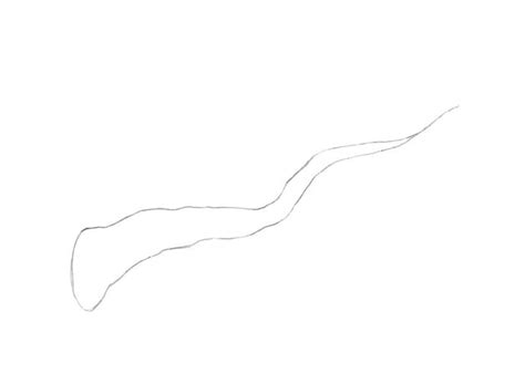 How To Draw A Tree Envato Tuts