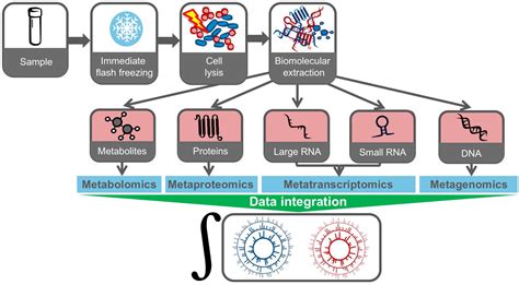 Integrated Multi Omic Analyses Of Microbial Communities