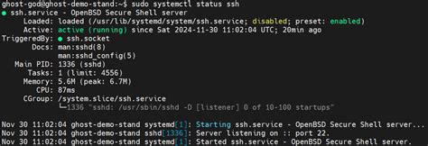 Ghostchain Ghost Node Ghost Node Implementation In Rust Ghost Node Git For Ghostchain Project