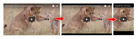 Comment Rendre Un Embed Iframe Video Parfaitement Responsive Centre D Aide Qualifio