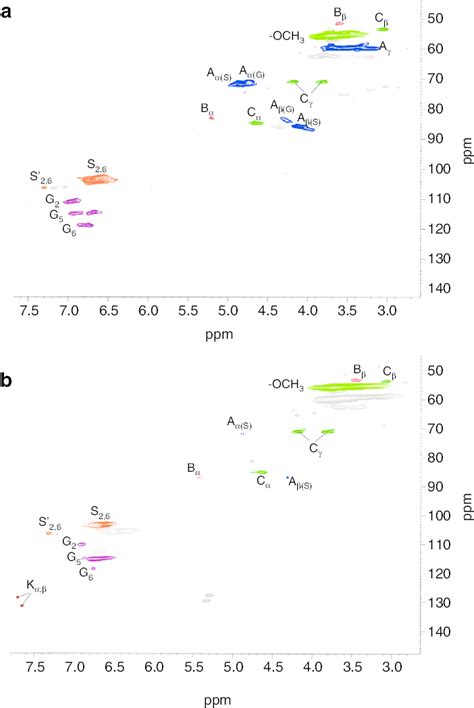 Contour Plot 1 H 13 C Hsqc Nmr Spectra δ C δ H 40143 2577 A