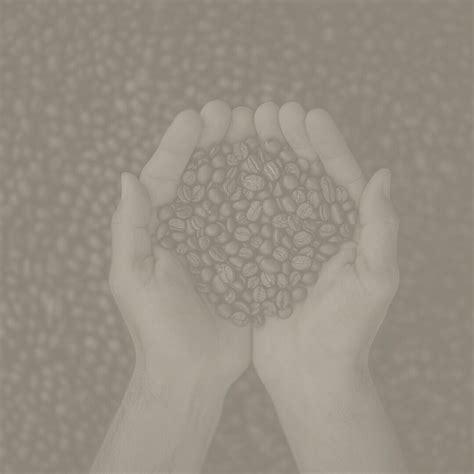 Overview Csrd Report Example