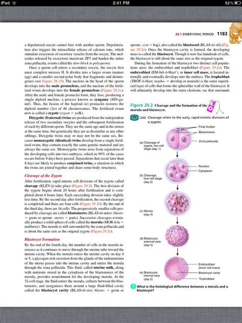 Principles Of Anatomy And Physiology Chapter 29 Development And