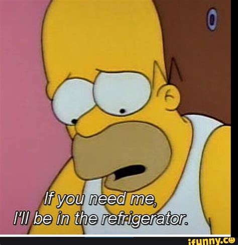 Refrigerator Memes Best Collection Of Funny Refrigerator Pictures On