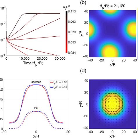 Aggregate Formation As A Phase Separation Phenomenon A Difference Of Download Scientific